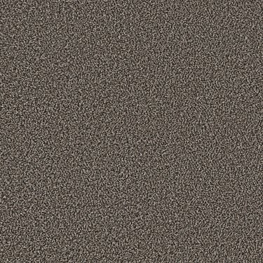 SHAW FLOORS RETAIL: WORK THE COLOR | Flooring Buyer
