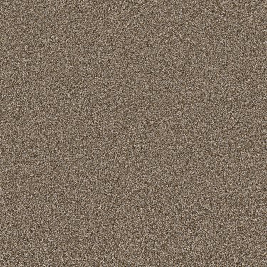 SHAW FLOORS RETAIL: WORK THE COLOR | Flooring Buyer